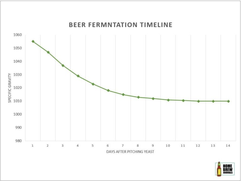 Beer Fermentation Time Chart - timechartprintables.com