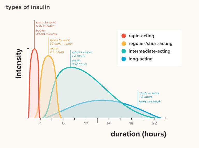Insulin Time Chart - timechartprintables.com